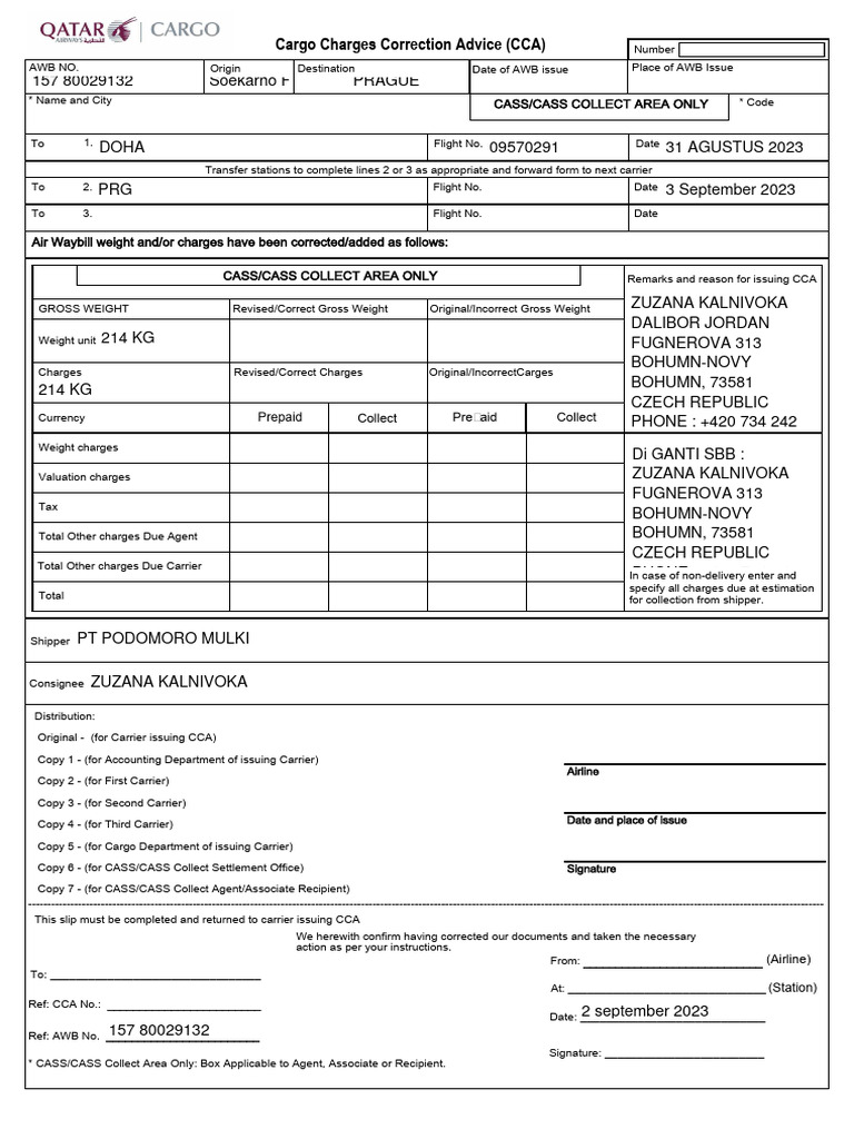 Cca Form 1 | PDF | Service Industries | Aviation