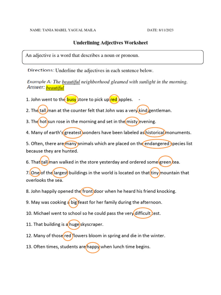 Adjective Identification Worksheet | PDF | Home & Garden