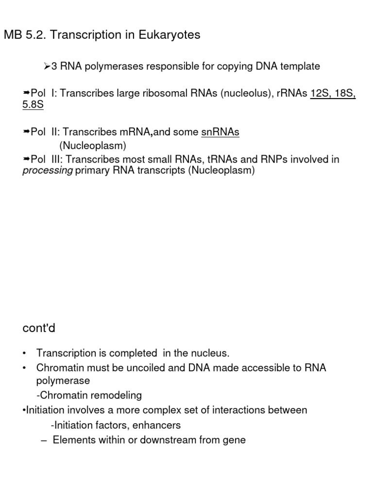 MB Chapter 5.2. Eukaryotic Transcription | PDF | Operon | Repressor