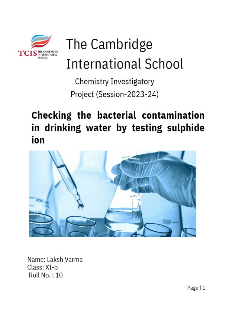 Chemistry Holiday Homework PDF | PDF | Water | Sulfide