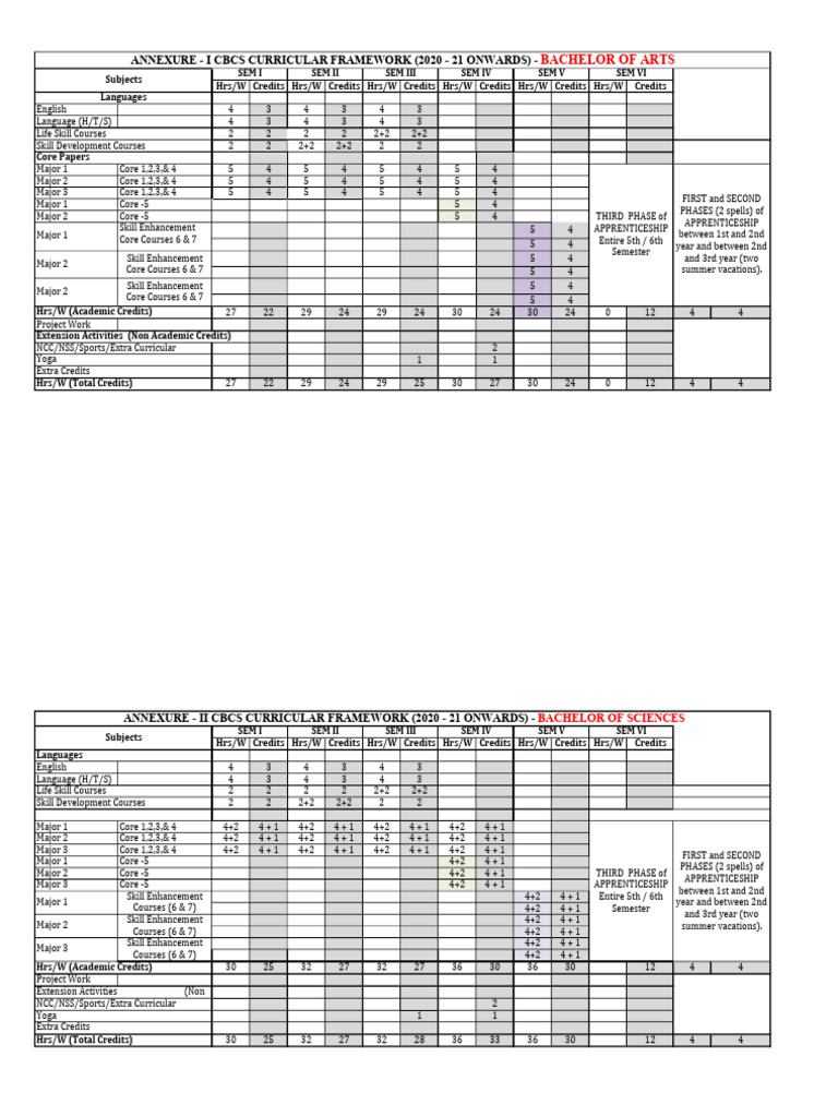 Cbcs New Syllabus 2021 Framework Apsche | PDF | Vocational Education