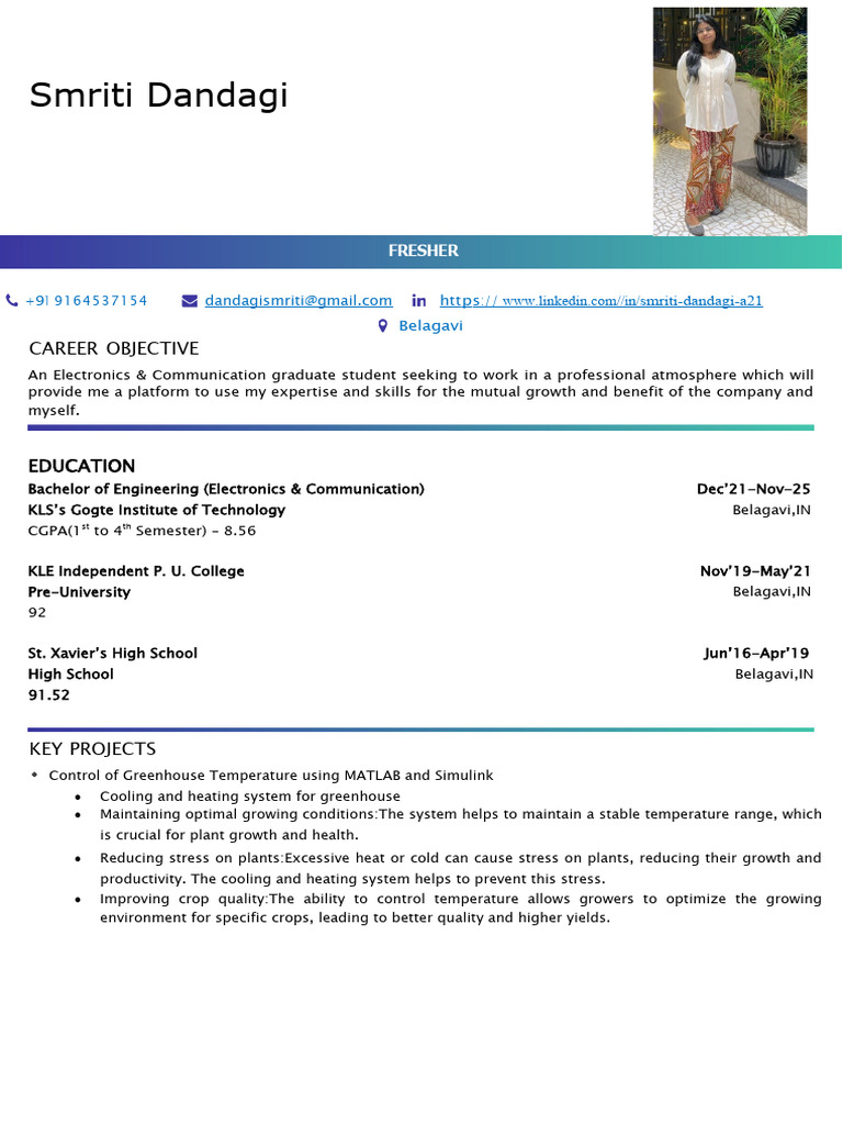 Demo RESUME | PDF