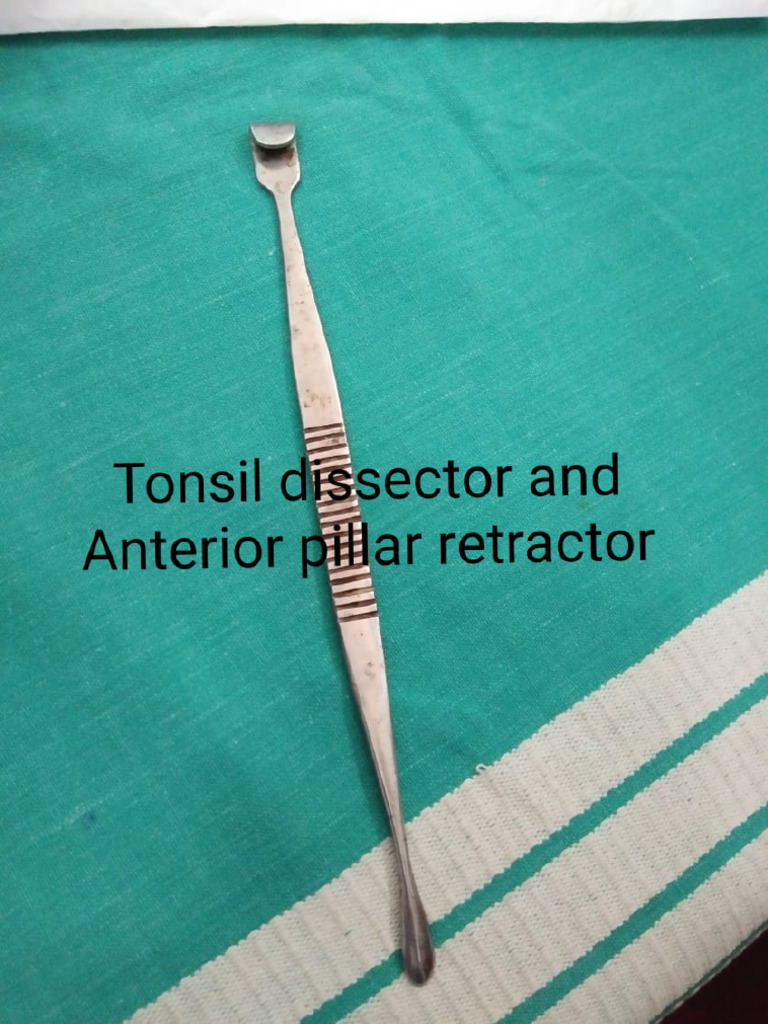 ENT Instruments | PDF