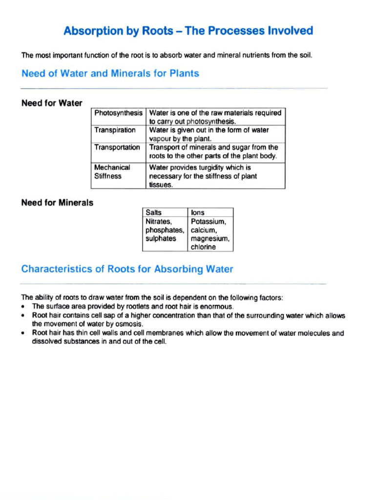 Absorption by Roots | PDF | Osmosis | Chemistry