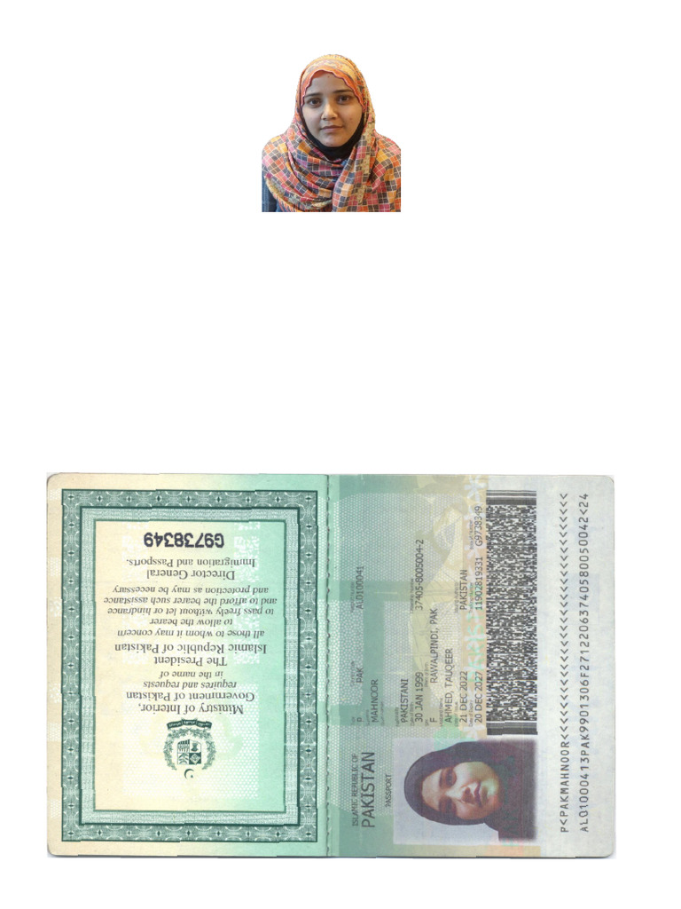Passports | PDF