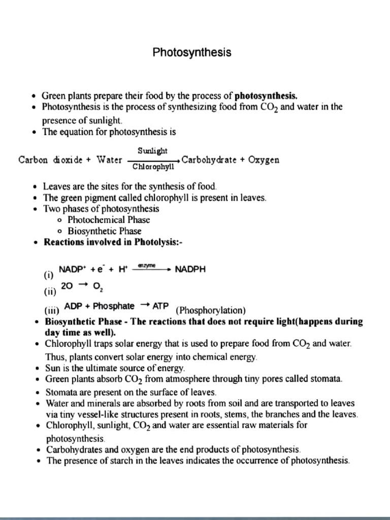 Photosynthesis | Download Free PDF | Photosynthesis | Leaf