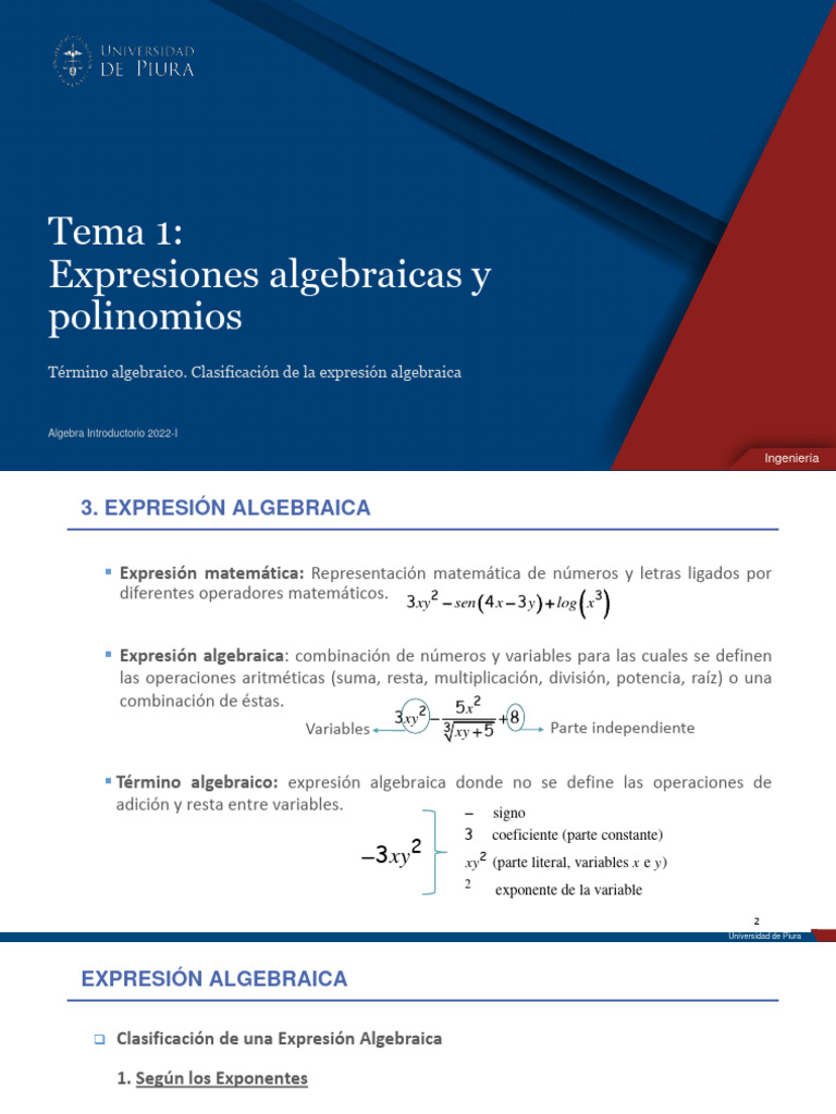 Término Algebraico. Clasificación de La Expresión Algebraica | PDF ...
