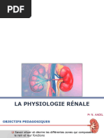 Anatomie des reins et leur vascularisation | PDF | Rein | Foie