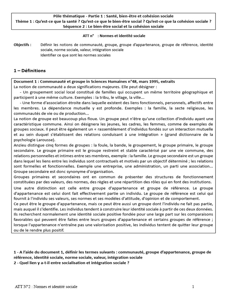 Normes et identité sociale expliquées | PDF | Socialisation | Identité ...