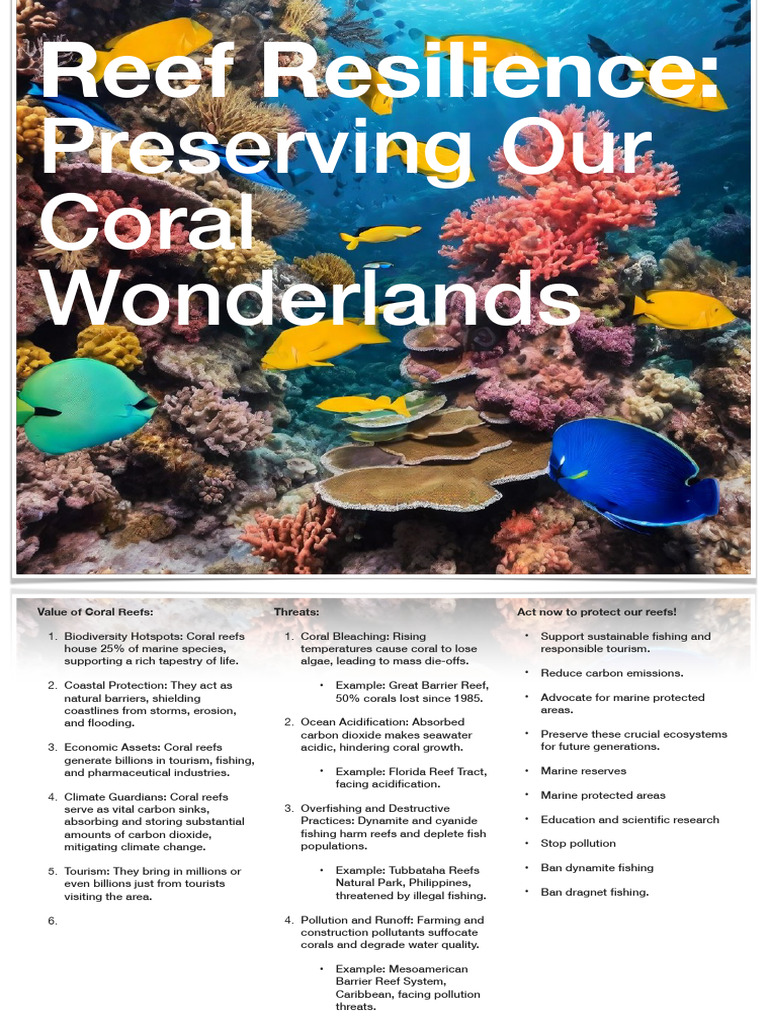 Coral Poster | PDF | Coral Reef | Oceans