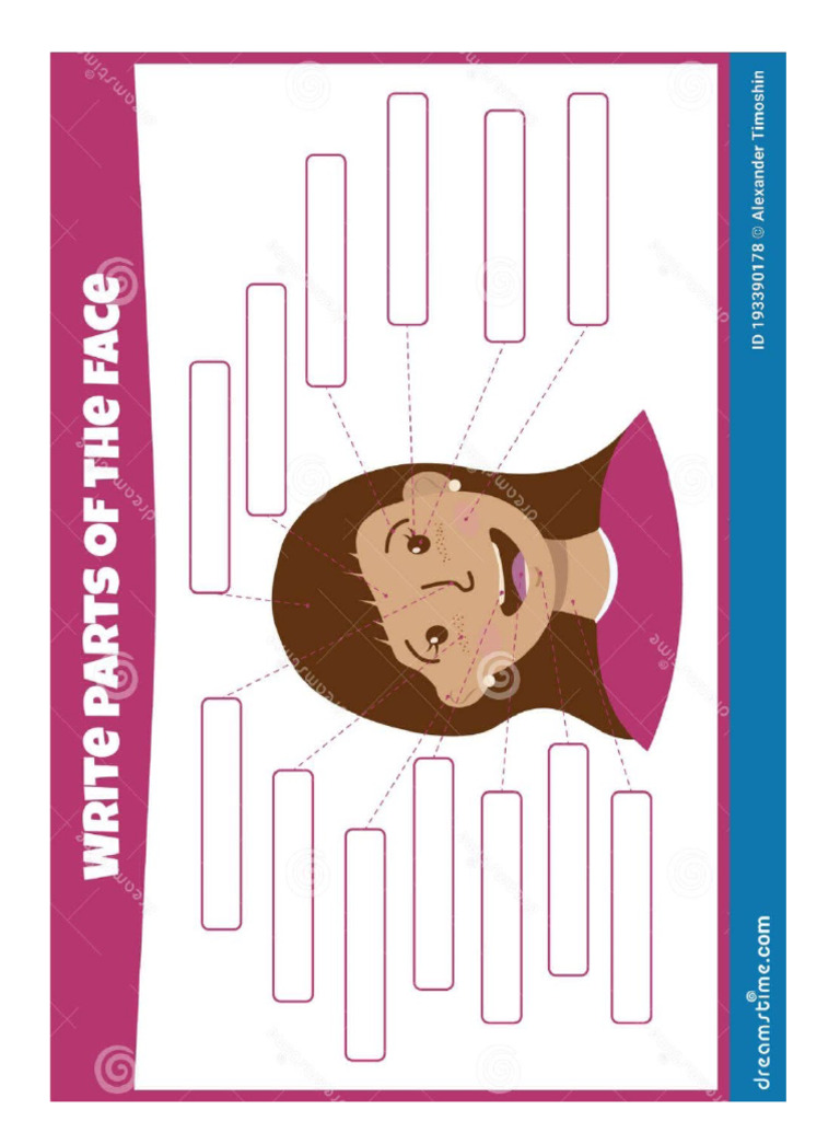 Write The Face | PDF