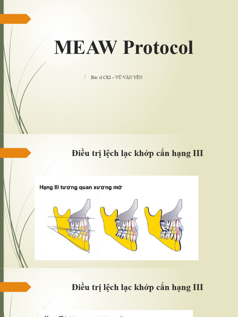 MEAW Protocol | PDF