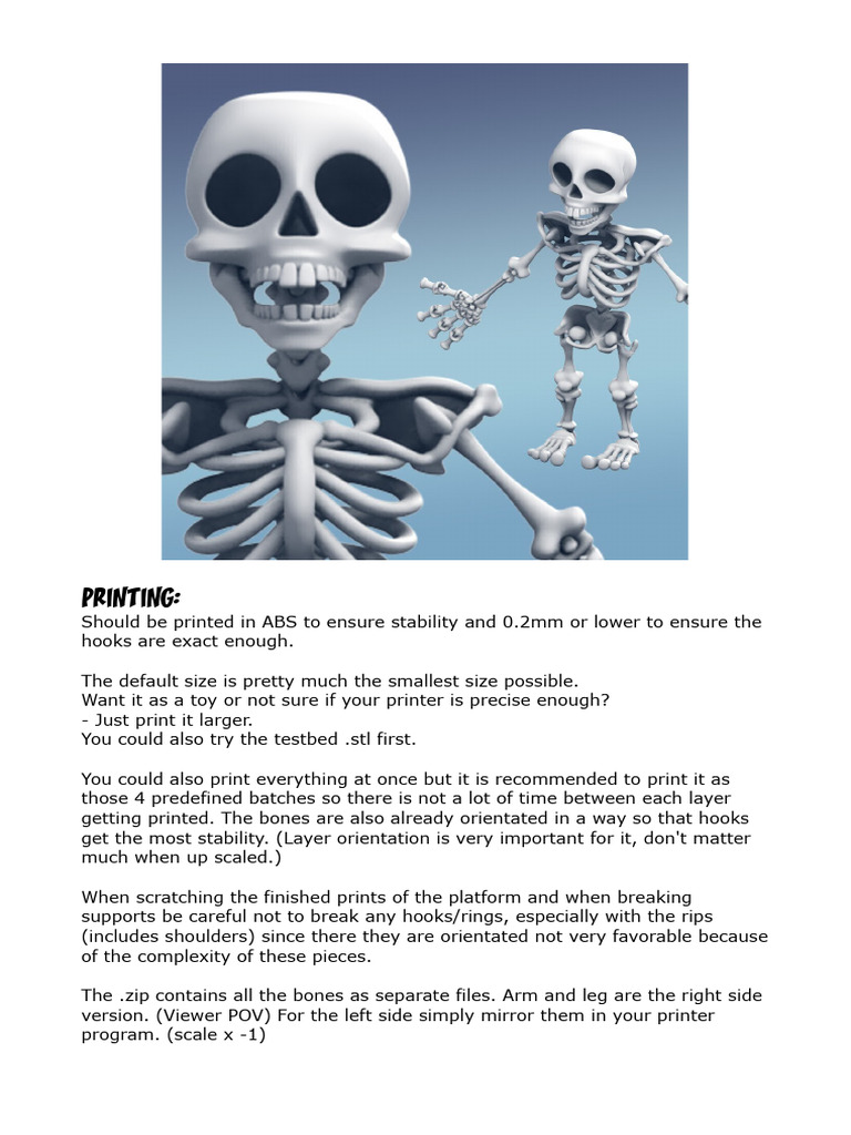 Skeleton Instructions | PDF | Hand | Pelvis