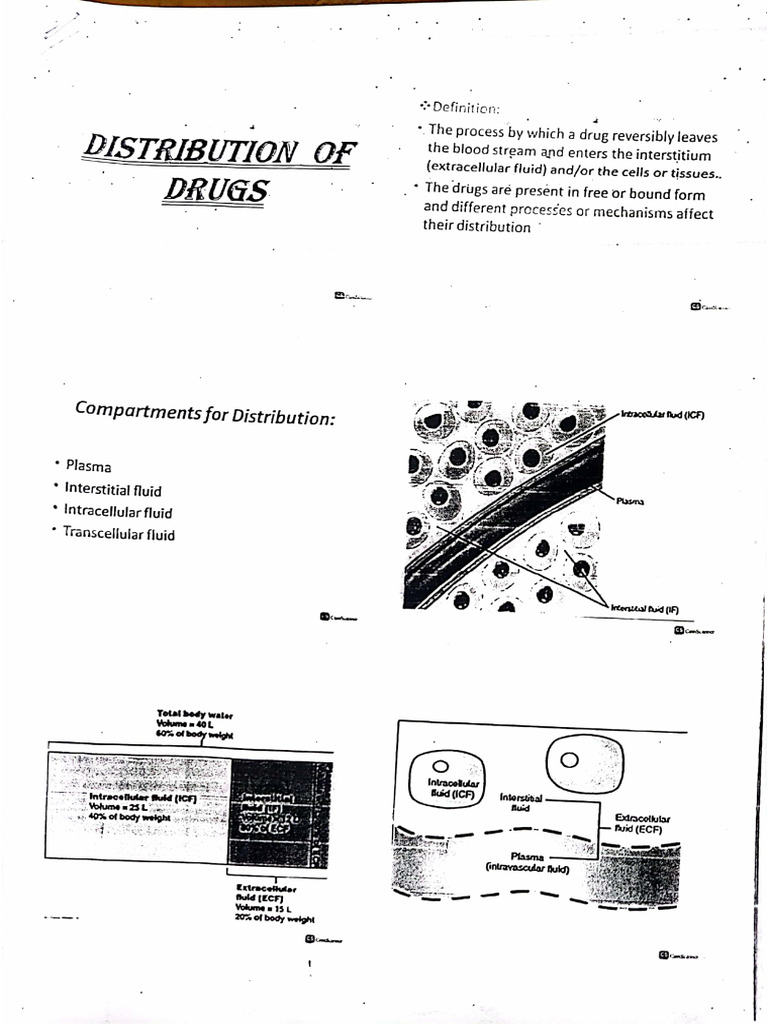 Distribution of Drugs (Slide) | PDF