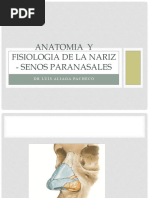 Nariz y Senos Paranasales | PDF | Nariz humana | Rinología