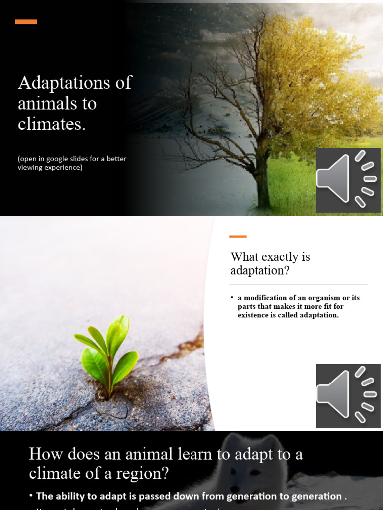 Adaptations of Animals To Climates | PDF