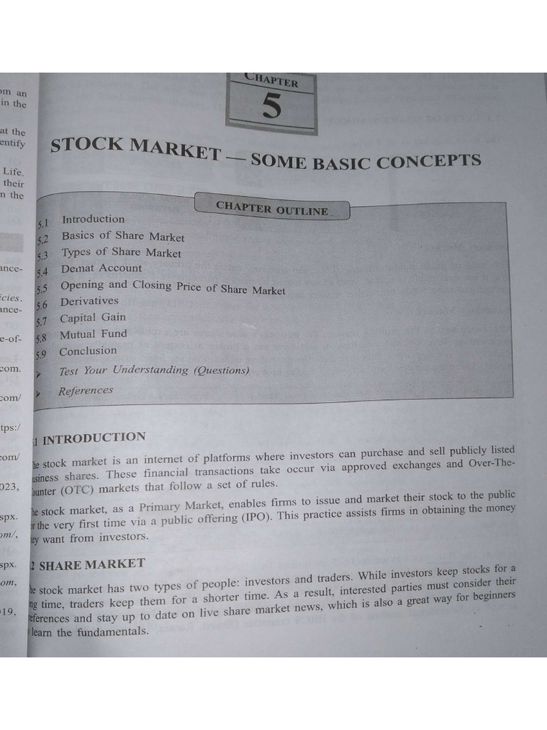 Stock Market Chapter | PDF