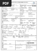 Formato Duca | PDF | Economias | Business