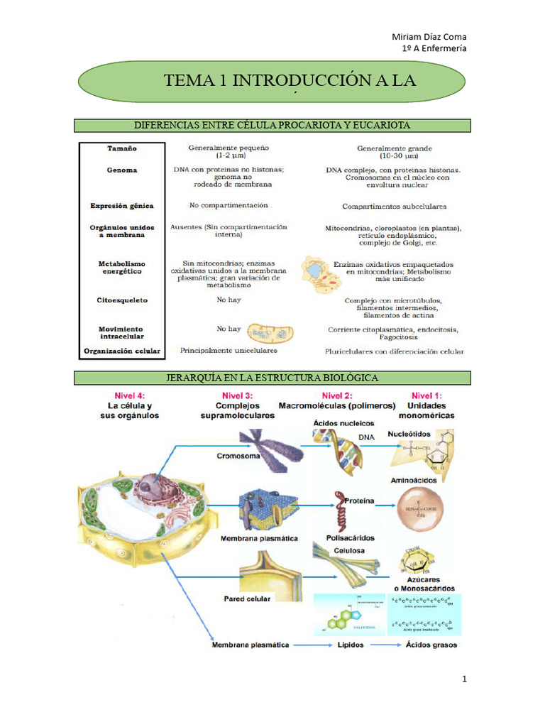 1 Introduccion A La Bioquimica | PDF | Bicapa lipídica | Biología Celular)