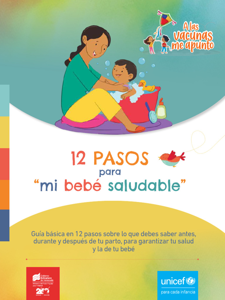 Guia 12 Pasos | PDF