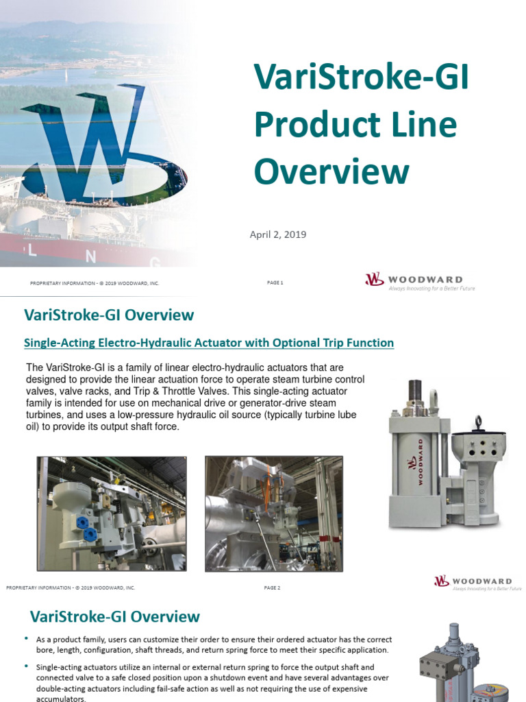VariStroke G1 Actuator Overview - B | PDF | Actuator | Valve