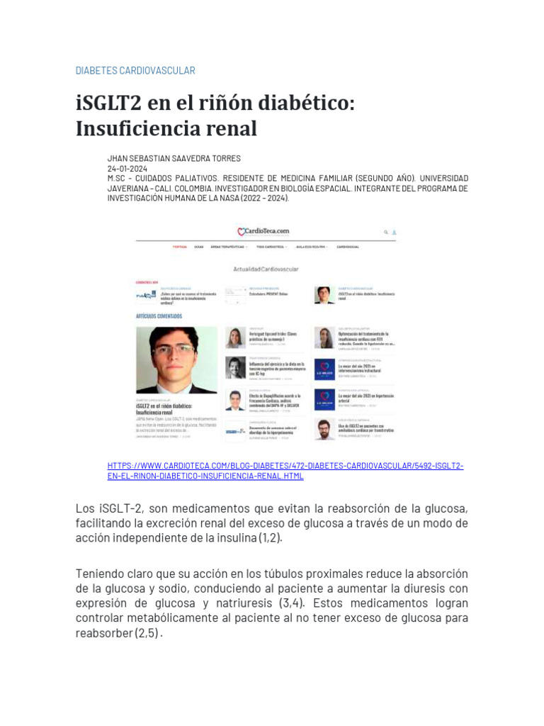 iSGLT2 en El Riñón Diabético: Insuficiencia Renal | PDF | Hipertensión ...
