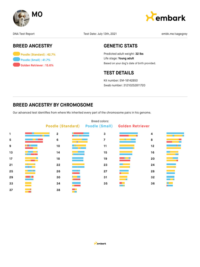 Mo Embark | PDF | Poodle | Genotype