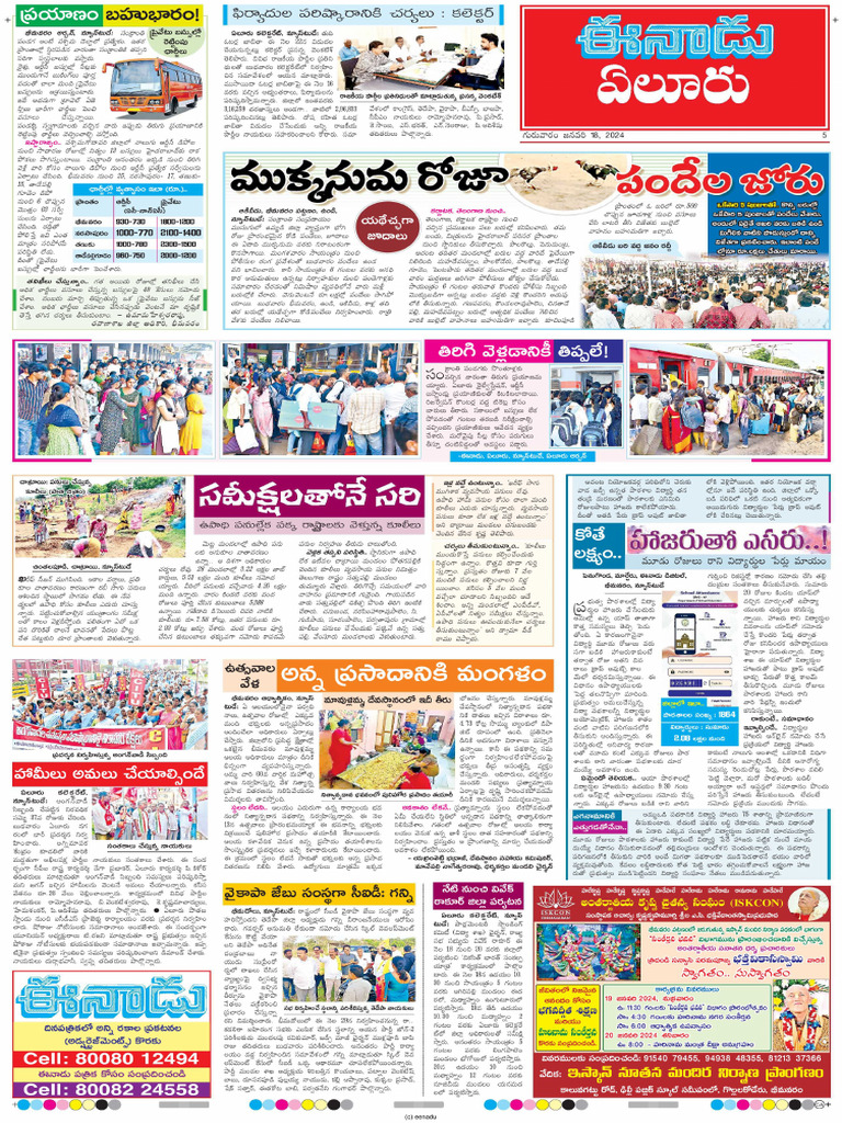 ELURU | PDF