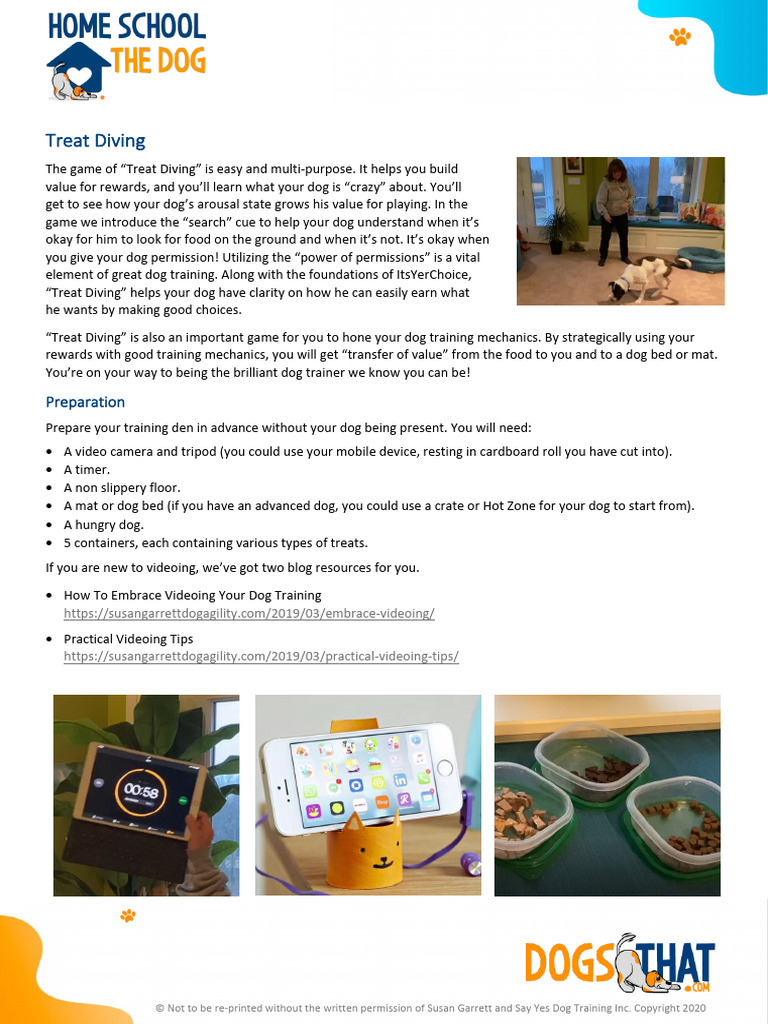 Susan Garrett Treat Diving | PDF | Dog Training