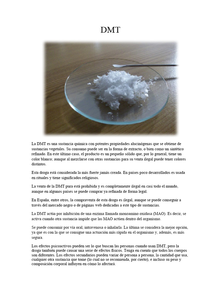 DMT | PDF