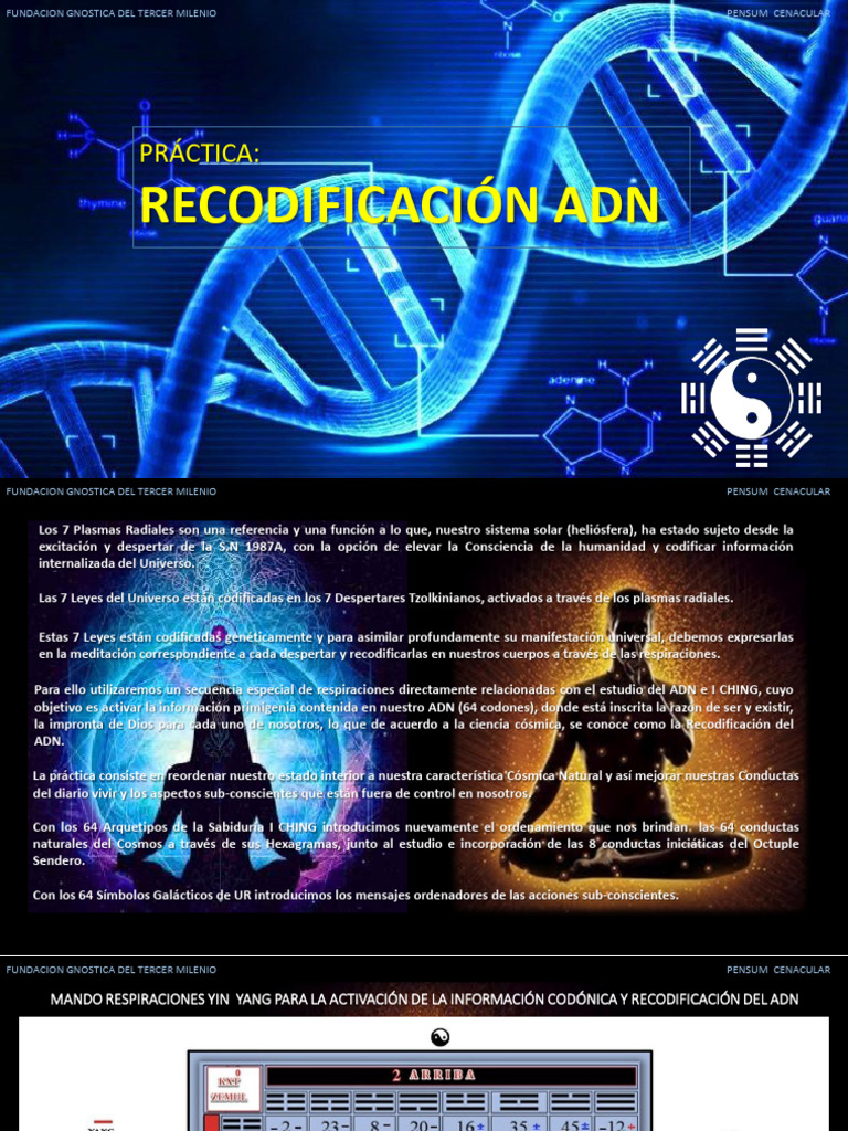 2.4.2 Práctica de Recodificación ADN para Cenaculares | Descargar gratis PDF | Adn | Mente
