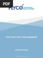 ICAO TRAINAIR PLUS Programme Overview | PDF | Airlines | Aviation
