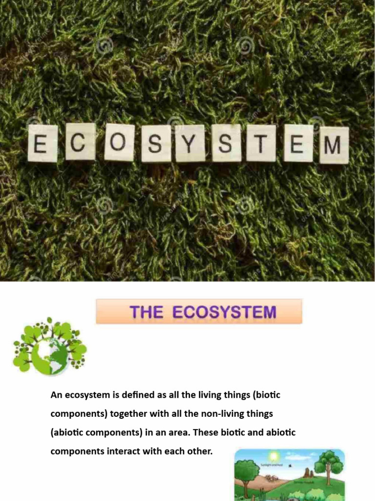 Ecosystem PPT Compressed | PDF | Food Web | Foods