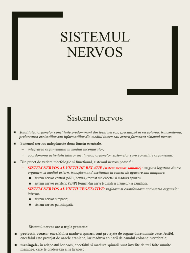 Sistemul Nervos | PDF