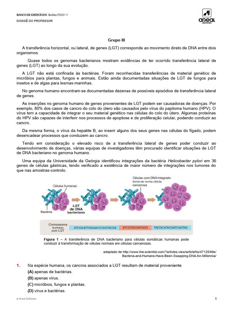 Ae gfbf11dp Bio Grupo3 | PDF