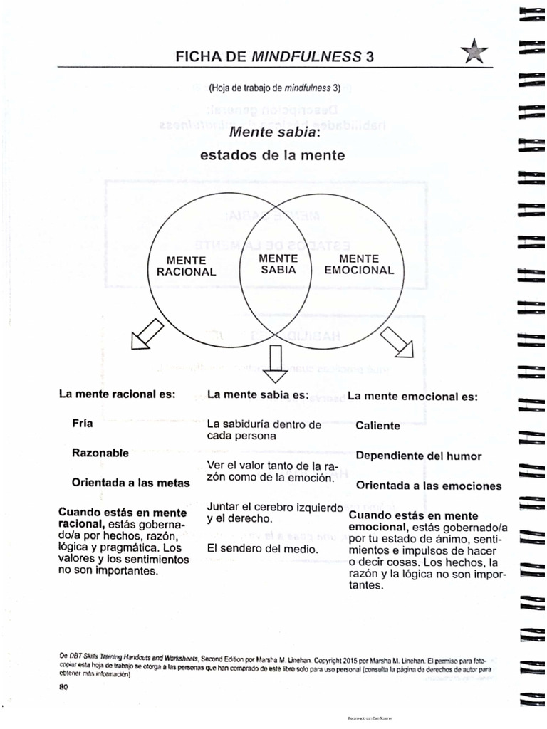 Mente Emocional, Racional y Sabia | PDF
