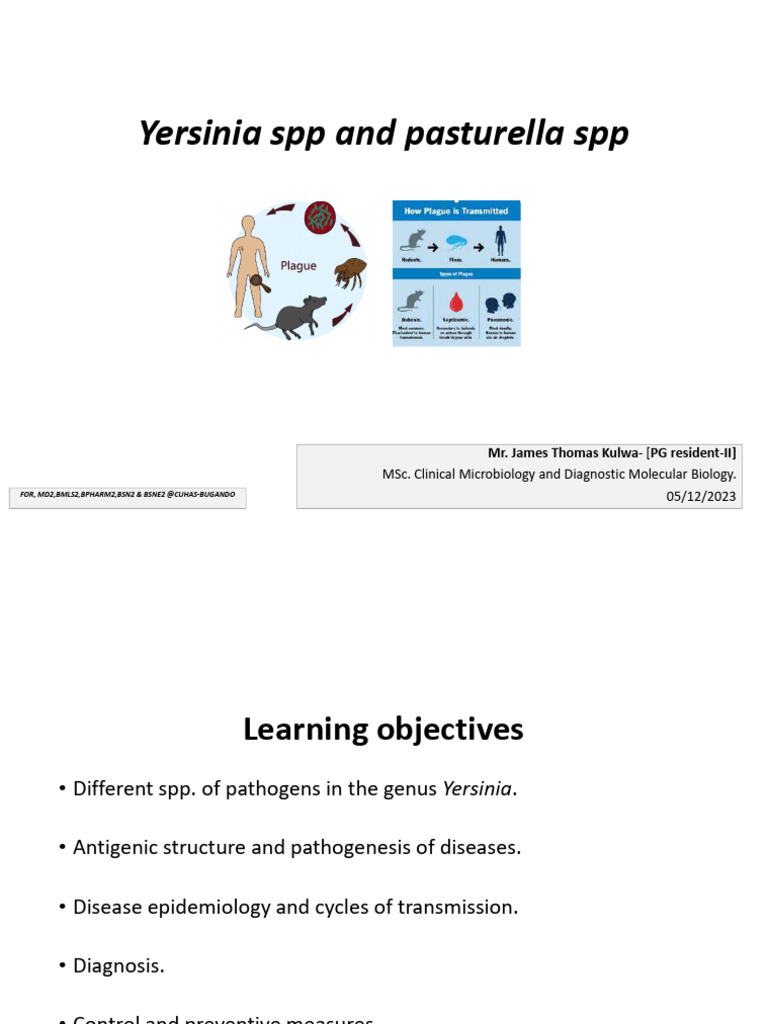 Yersinis SPP & Pasturella SPP - Jkt..2023 | PDF | Infection | Epidemiology
