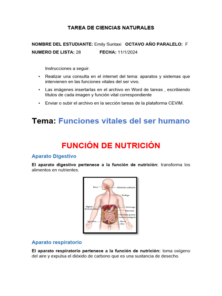 Suntaxi Emily Tarea de Funcione Vitales | PDF