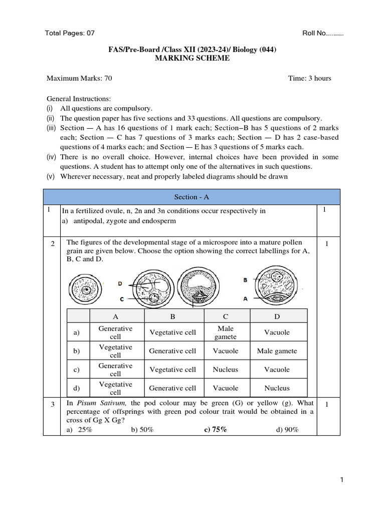 Fasv Xii Biology MS PB 2023-24 | PDF | Translation (Biology) | Rna
