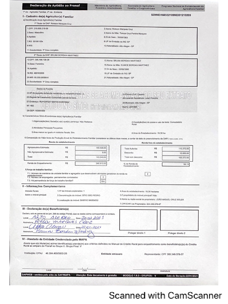 Declaração de Aptidão Ao Pronaf (Robson) | PDF