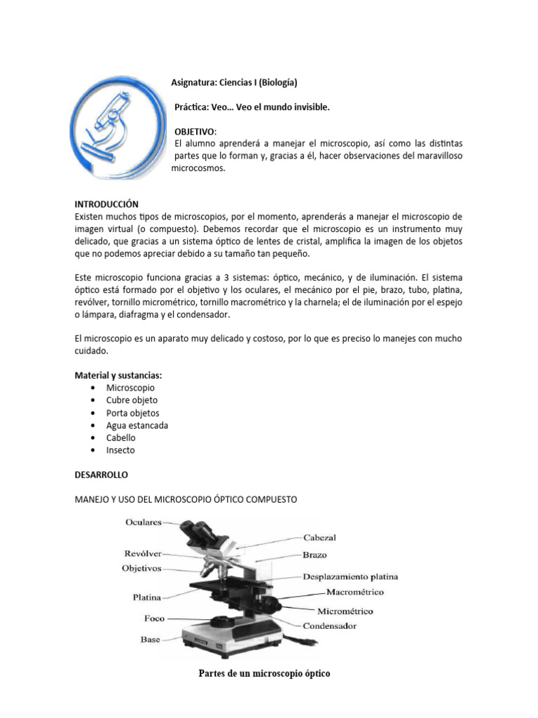 Práctica de Microscópio | PDF | Microscopio | Óptica