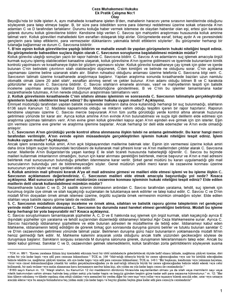 Ceza Muhakemesi Hukuku Ek Pratik No 2 | PDF