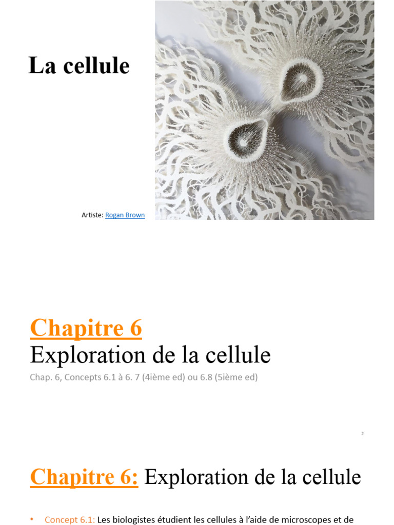 La Cellule: Artiste | PDF