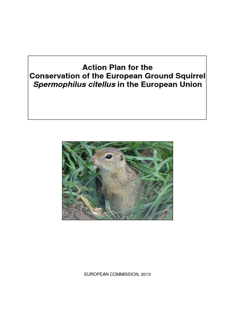 Action Plan For The Conservation of The European Ground Squirrel ...