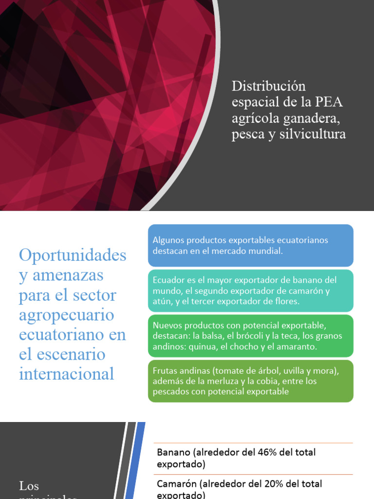 Distribución Espacial de La PEA Agrícola Ganadera | PDF | Agricultura ...