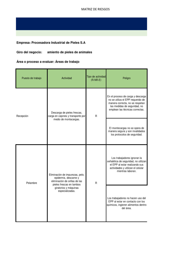Matriz de Riesgos | PDF