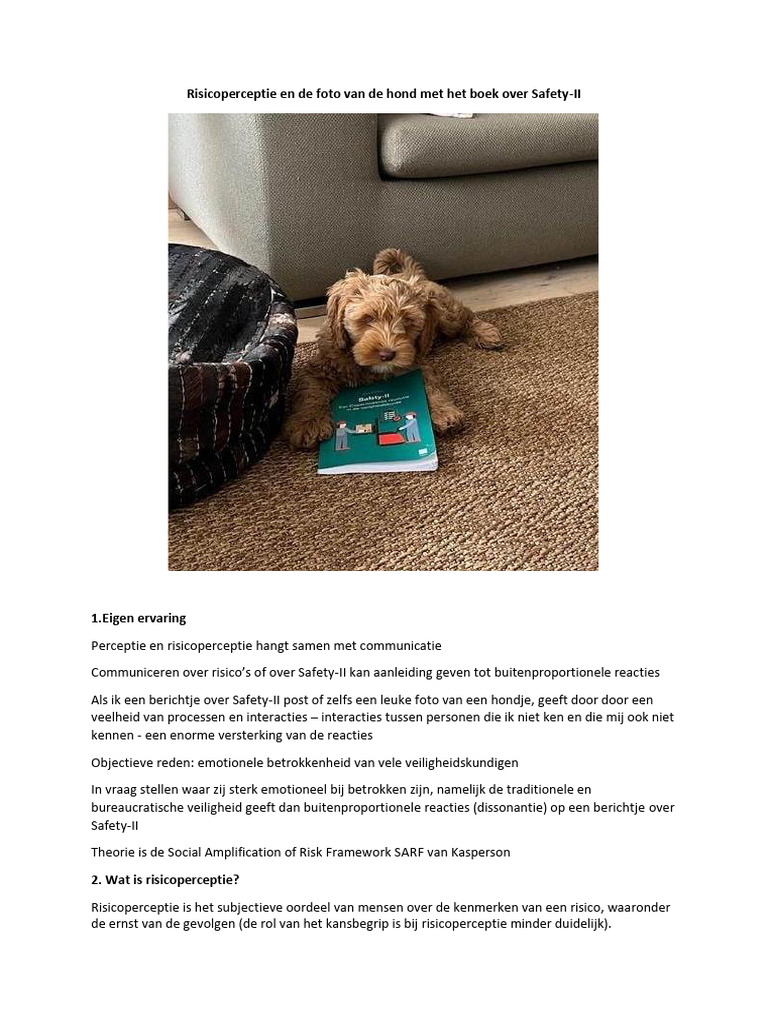 Safety 2 Jan Dillen Over Zijn Boek | PDF