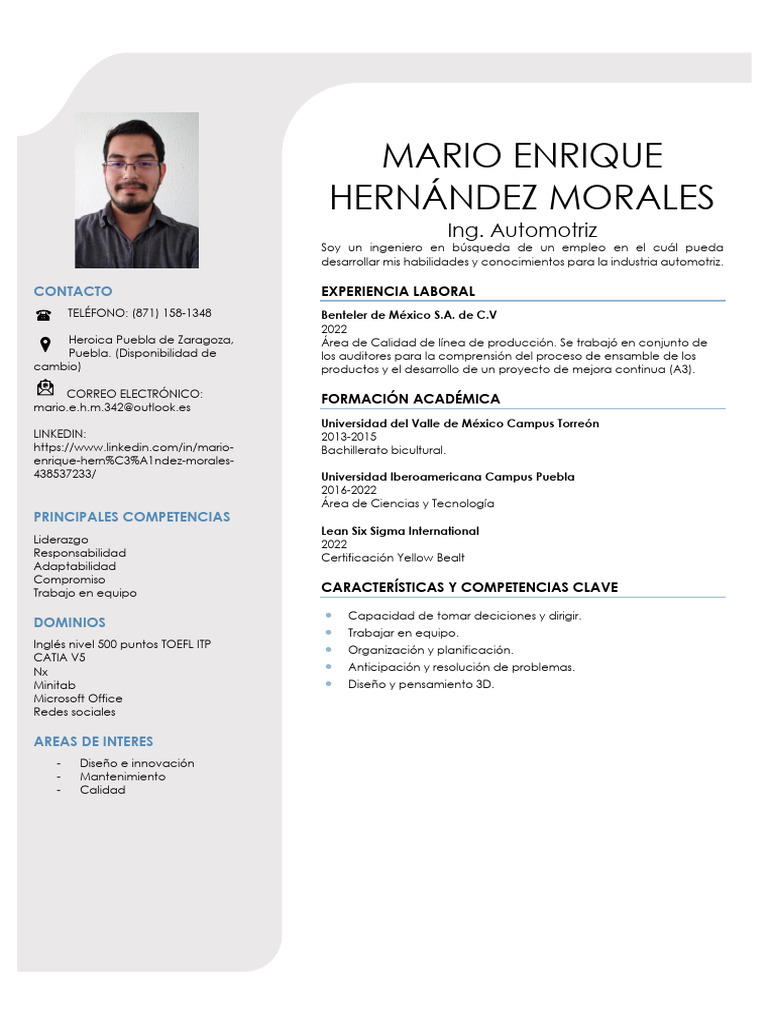 CV - Mario Enrique Hernández Morales | PDF