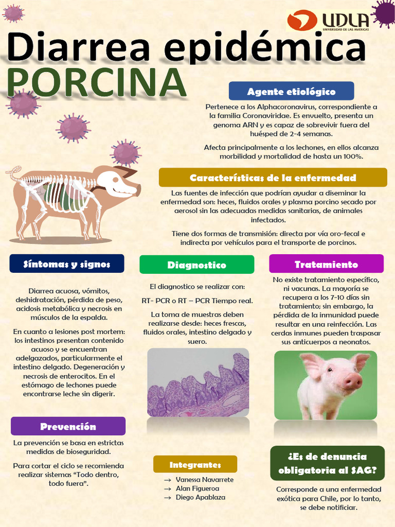 Diarrea Epidemica Porcina | PDF | Diarrea | Causas de la muerte