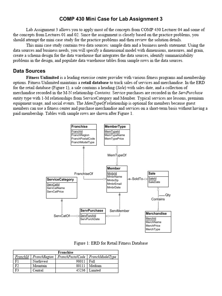COMP 430 Mini Case For Lab Assignment 3 | PDF | Table (Database) | Data ...